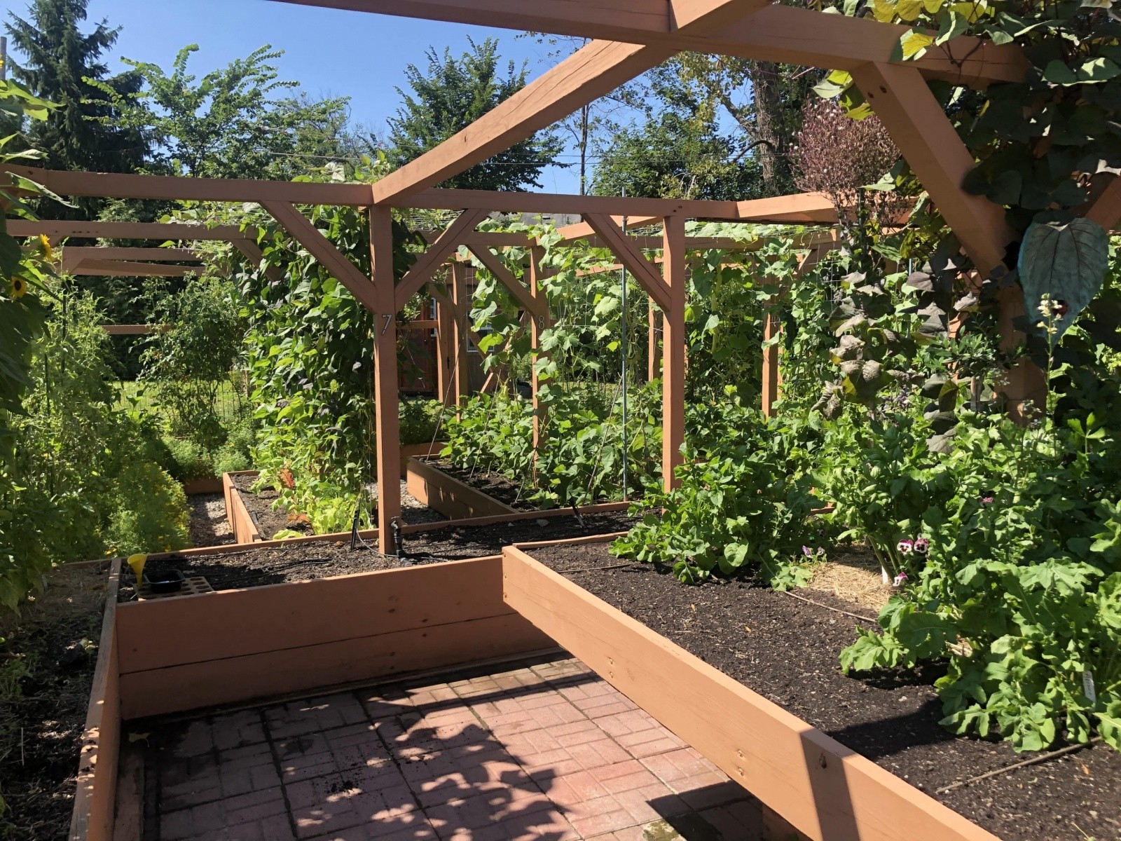 Commercial Landscape Design - Trey Gardens